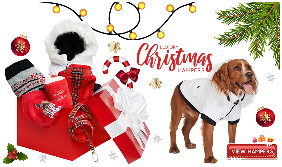 Dog Clothes and Dog Clothing Fashion Outfits | Urban Pup