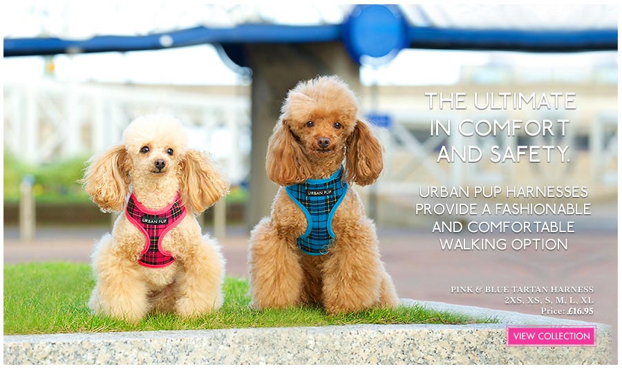 Dog Clothes and Dog Clothing Fashion Outfits | Urban Pup