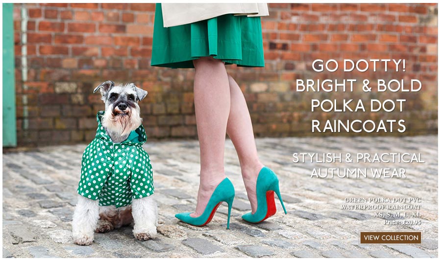 Dog Clothes, Personalised Dog Clothing & Dog Collars | Urban Pup