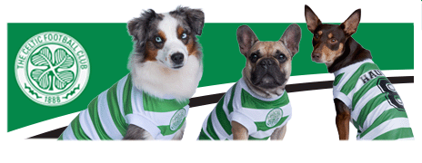 Official Licensed Celtic FC Dog Football Shirts at Urban Pup