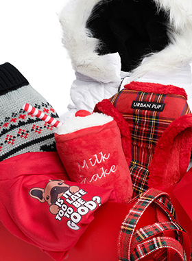Luxury Christmas Gift Box Hamper | Dog Gift Hampers at Urban Pup