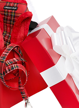 Luxury Christmas Gift Box Hamper | Dog Gift Hampers at Urban Pup